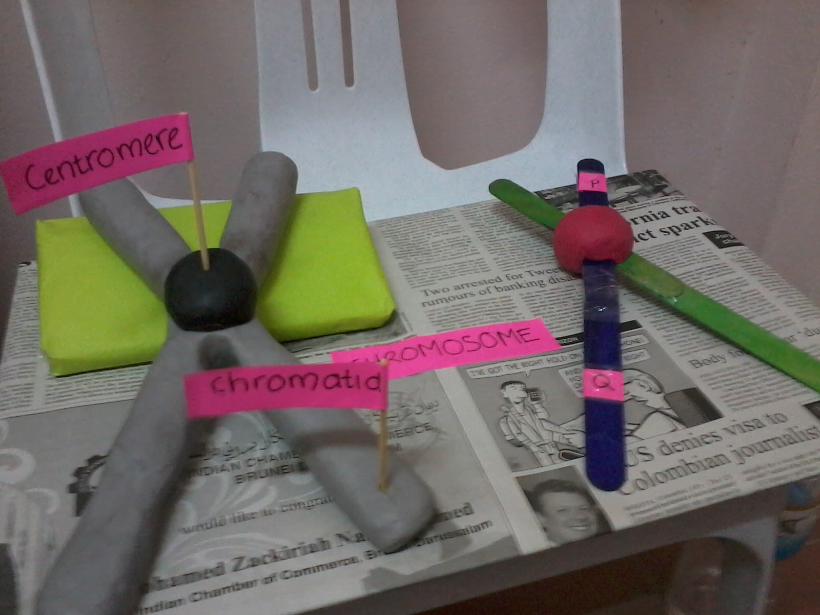 Share & Tell: Building a model of chromosome.