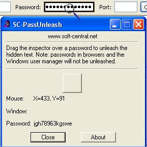 How To Show Password Behind The Stars | Amazing Tricks