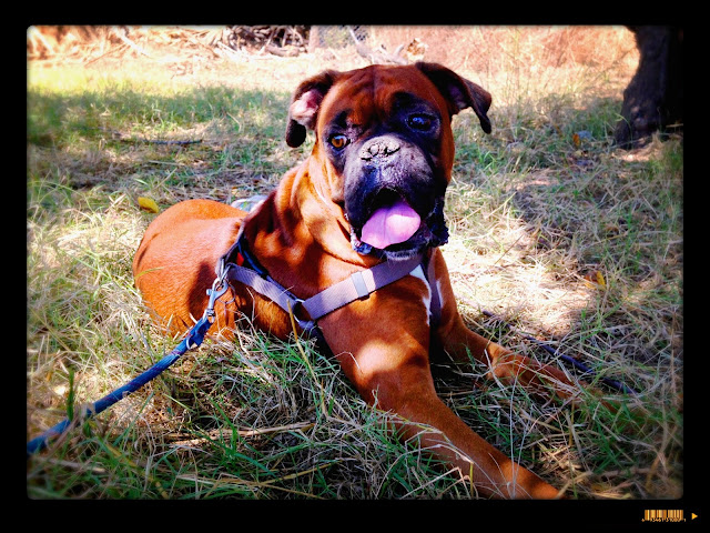 Oscar Lechuga Fotógrafo