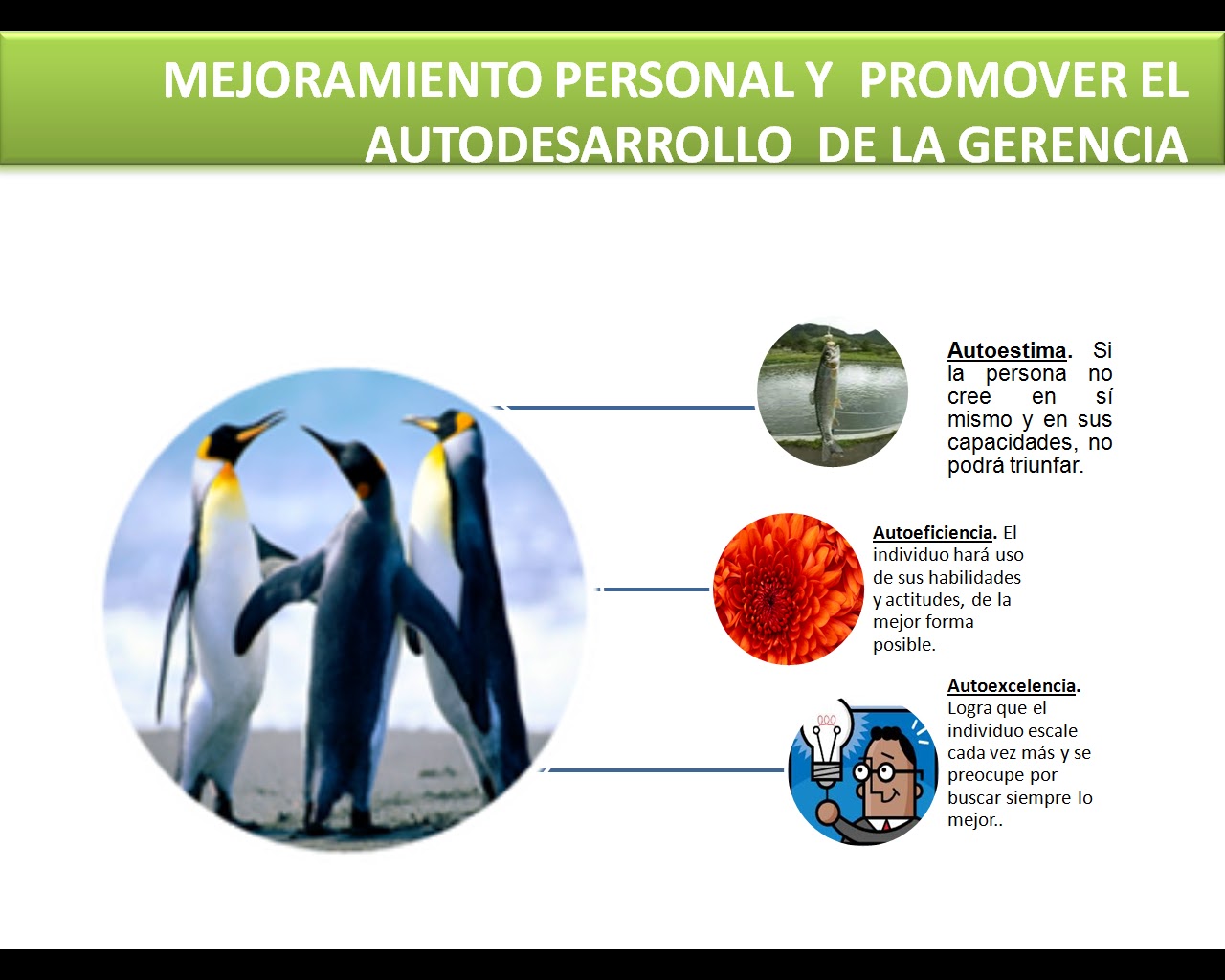 AUTODESARROLLO GERENCIAL: Actividad No.10 - Trabajo Colaborativo 2