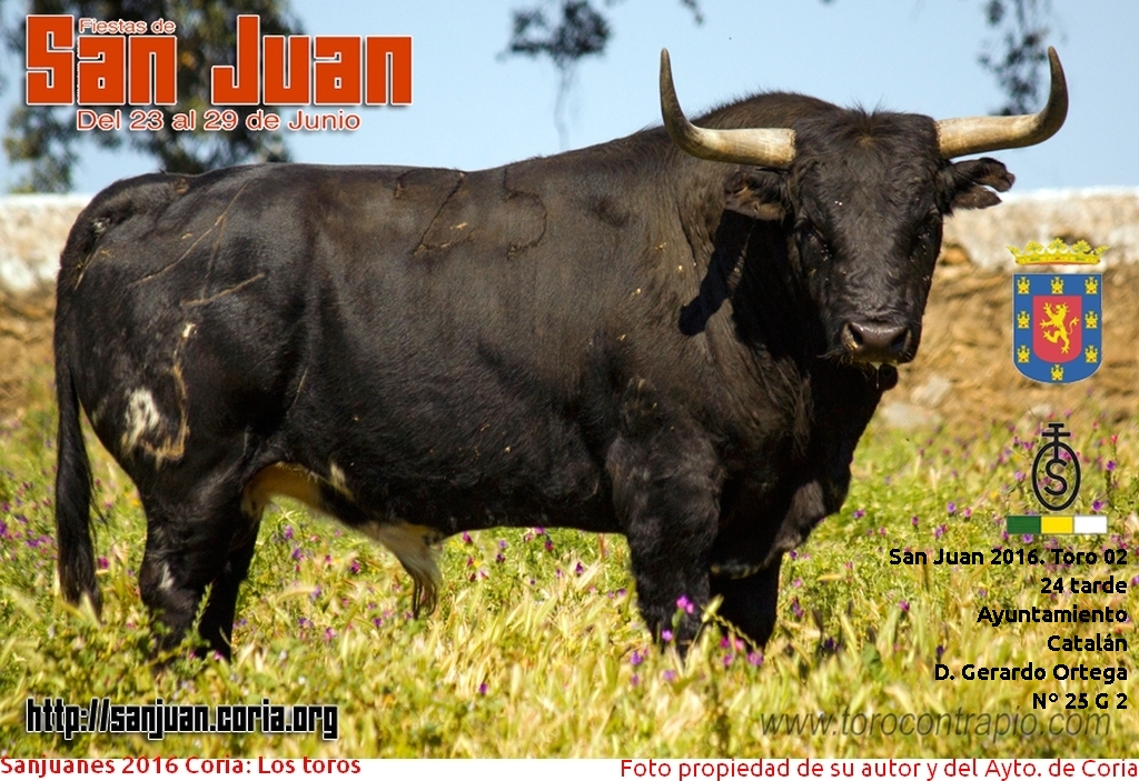 Sanjuanes de Coria: 24tarde