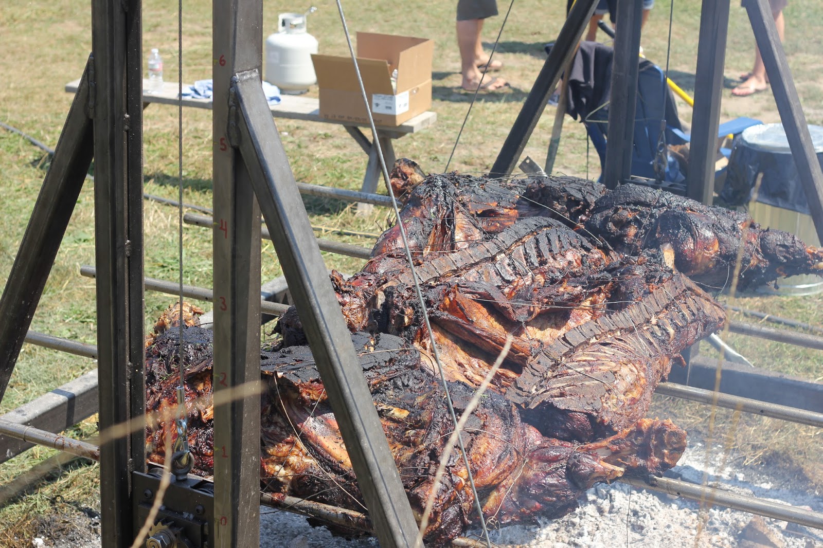 Traveling Light: cow roast