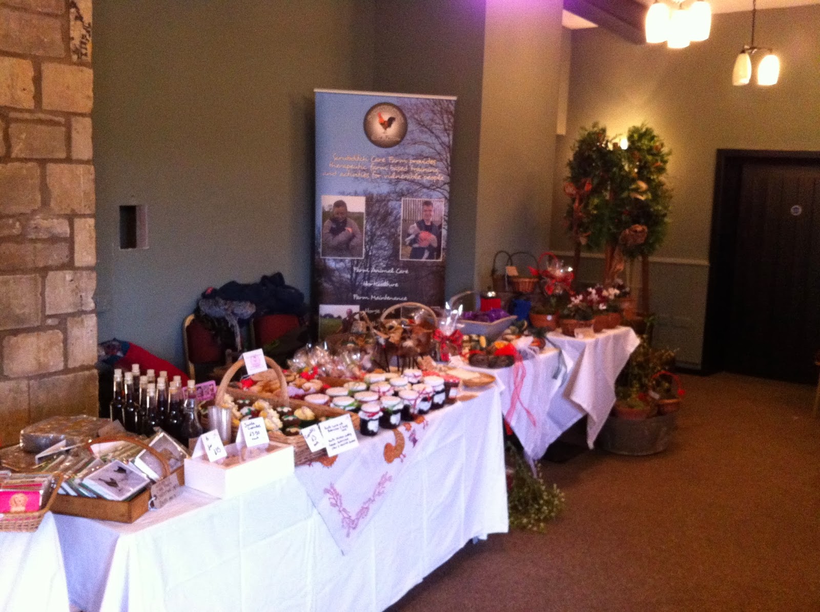 Scrubditch Care Farm : Nearly Christmas!