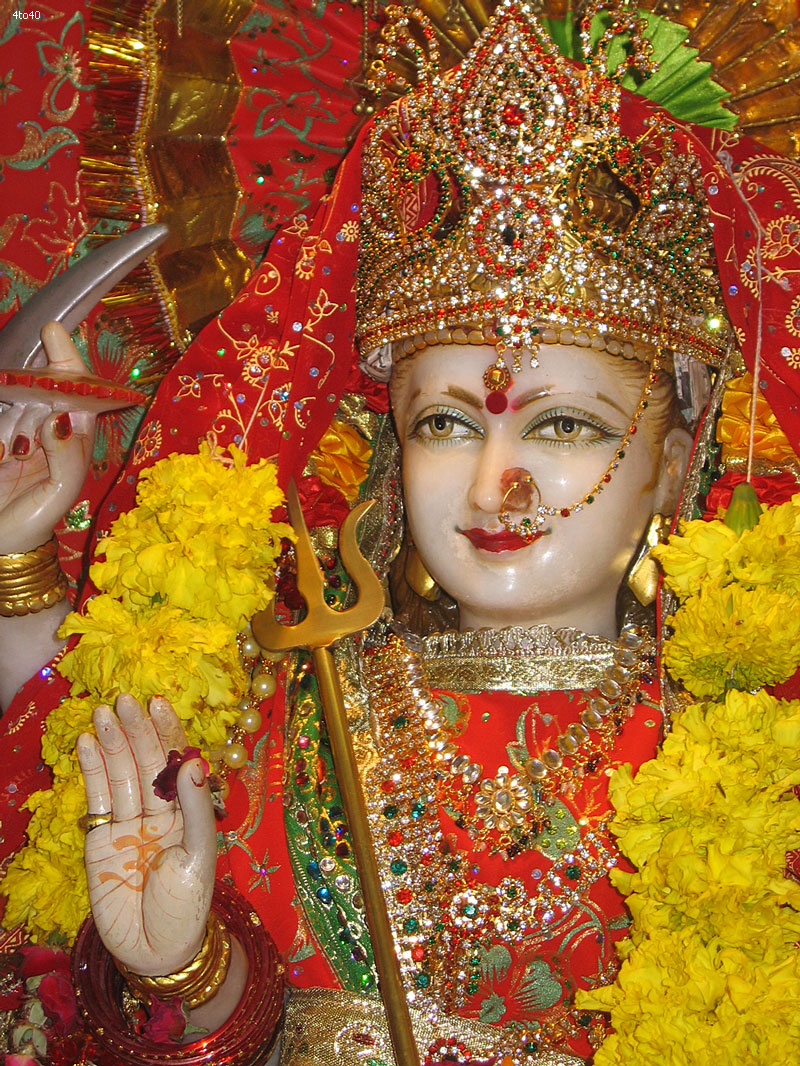 Navratri Festival - Festival Celebration