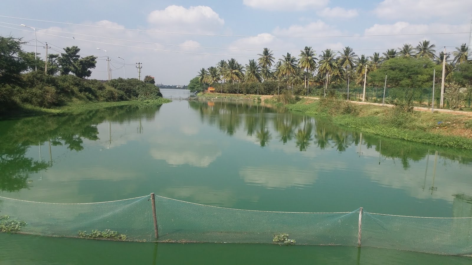 Biome Trust: Wetland Maintenance - Jakkur Lake