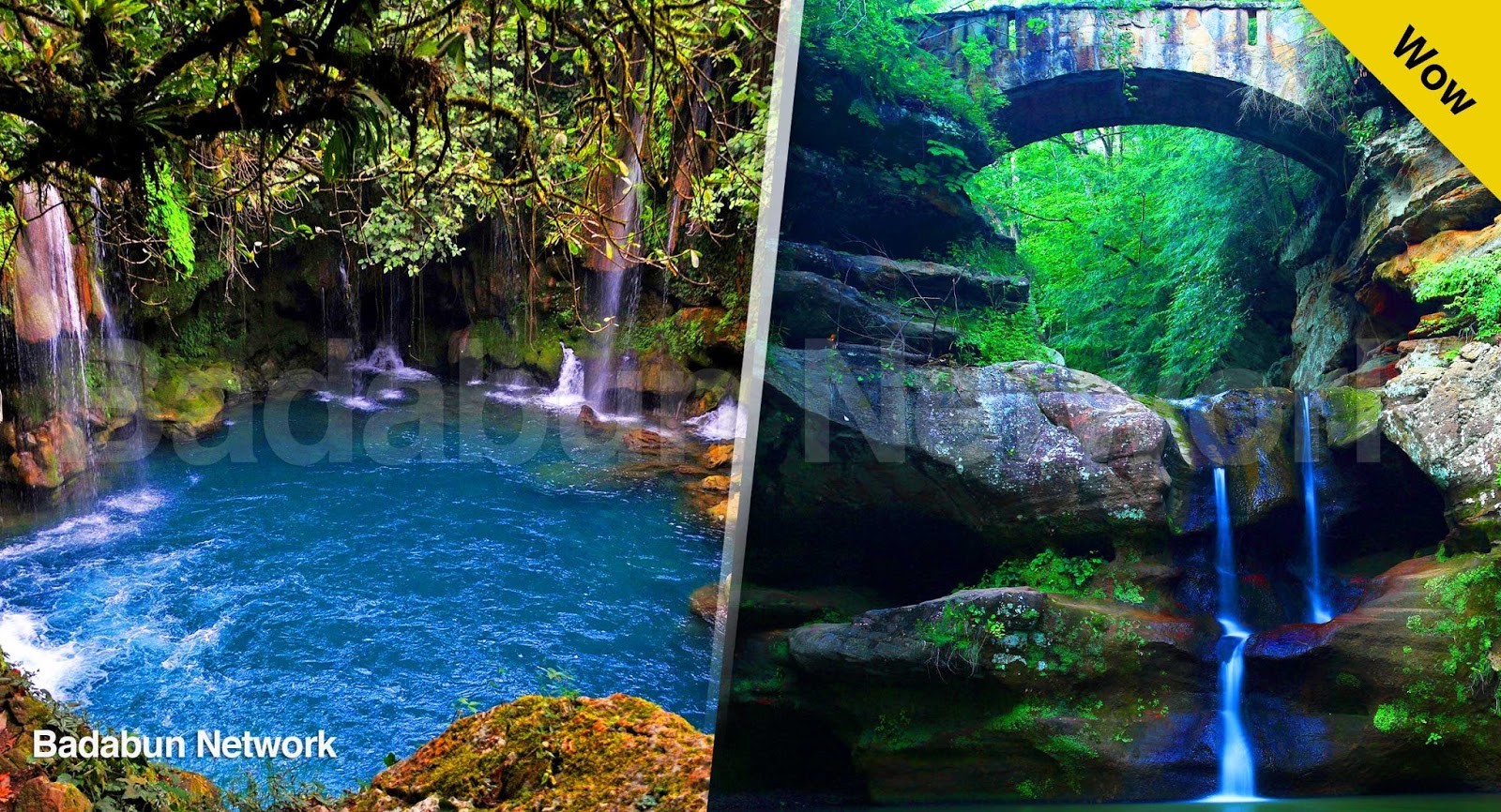 7 bosques mágicos en México que prueban por qué es el país más hermoso ...