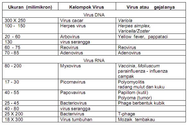Mikrobiologi: BAKTERI DAN VIRUS