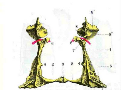 Maxilar Superior: julio 2012