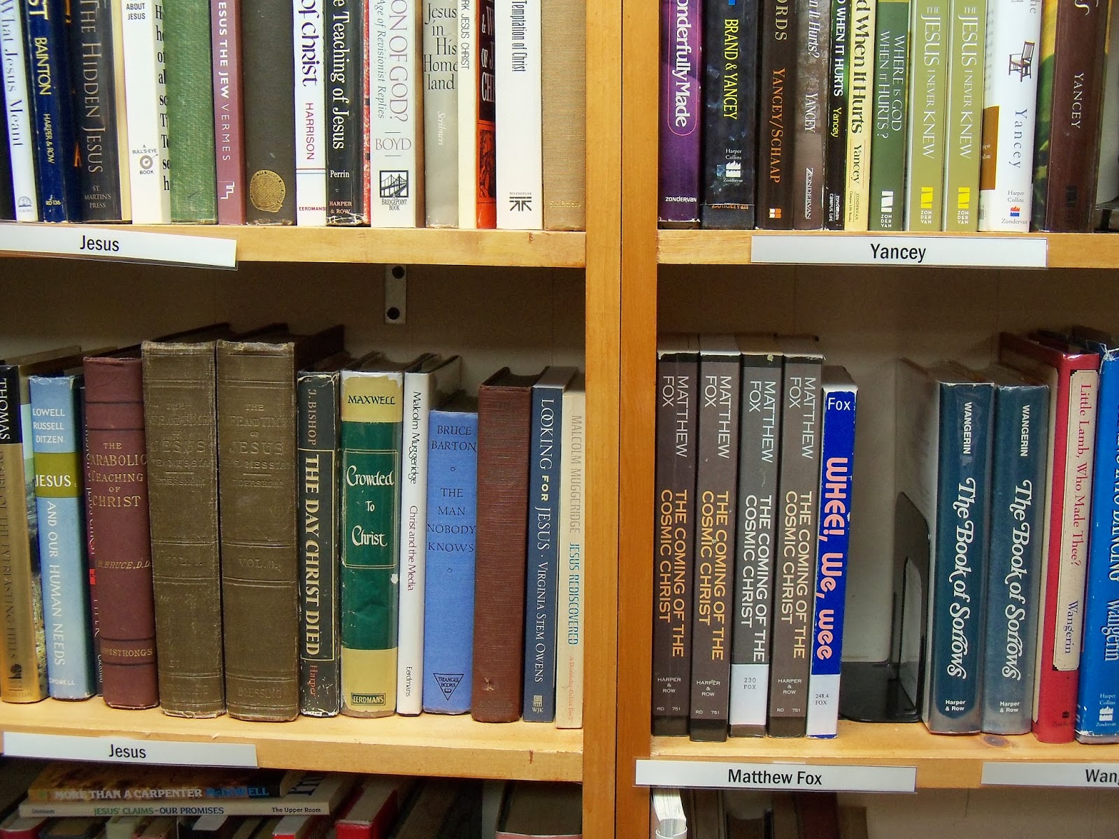 the feminist librarian: blizzard of '14: black river books [photo post]