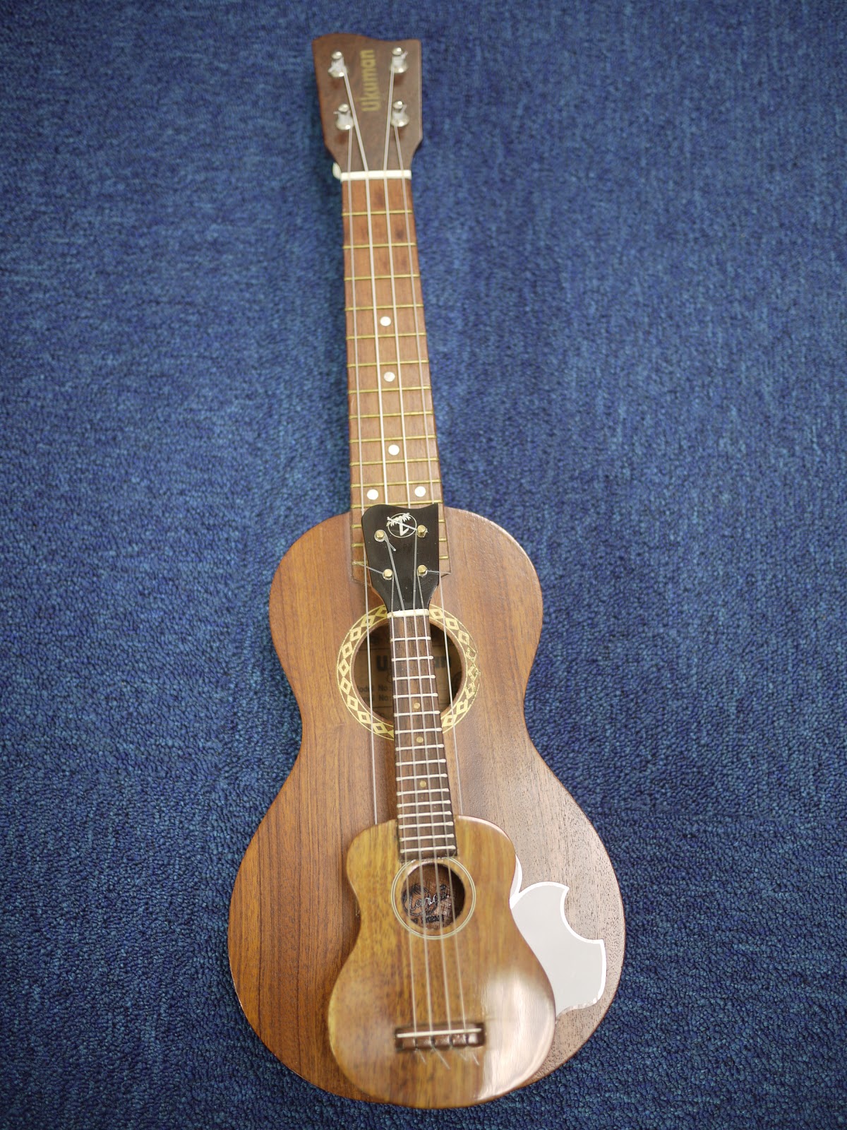 [開箱] 超迷你可愛的 Tangi Miniature Ukulele - 生命的滋味 - 品嚐烏克麗麗