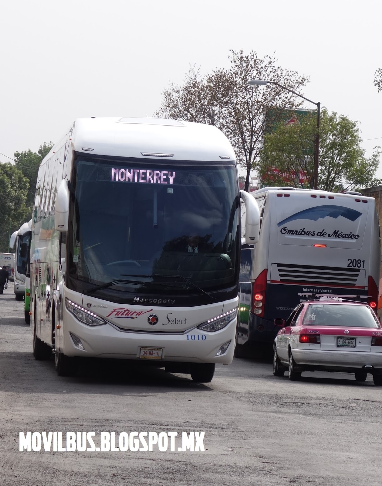 LUCES DE DIA EN AUTOBUSES (DRL).