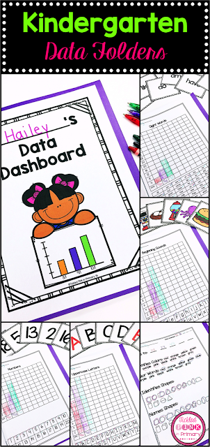 The Elementary Entourage: Assessment w/Tickled Pink in Primary