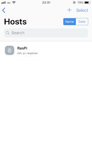 新ヒカリモノズ: Termiusを使ってiPhone(iPad)でRaspberryPiへSSH接続する(パスワード認証)