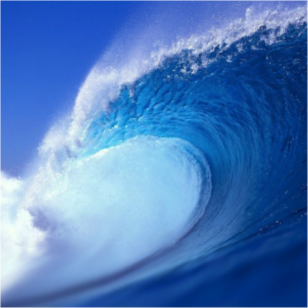 The Consumer Coach: Swimming with the Data Tidal Wave