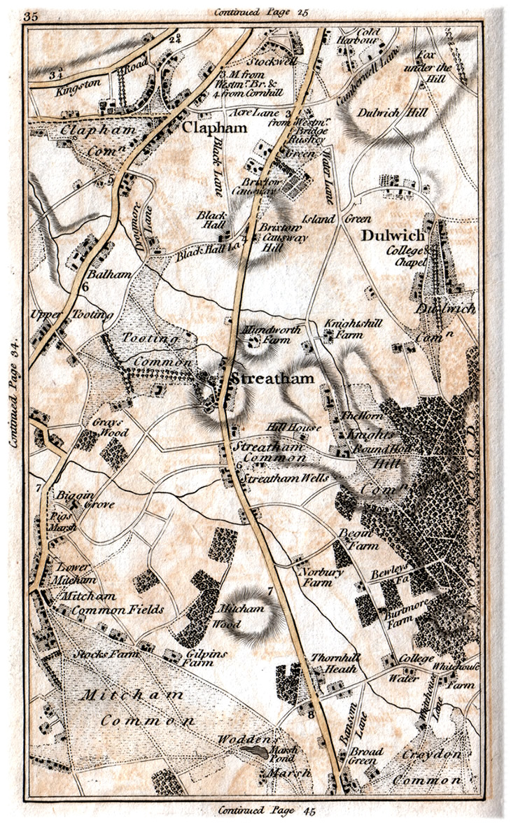 The trees around Nunhead: Dulwich Hill