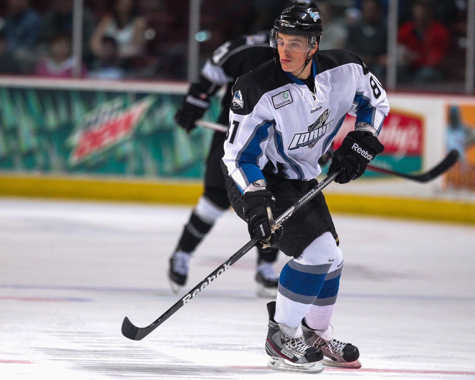 Idaho Steelheads Report: Series Even Heading Back to Boise