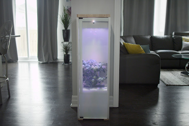 Grobo Indoor Garden - Tech Hive