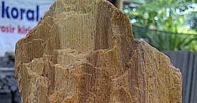 HARGA BATU FOSIL KAYU | JAKARTA TANGERANG ~ JUAL BATU ALAM MURAH ...