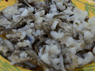 Exotic Food All Around The Globe: Sannakji (Moving Octopuses)