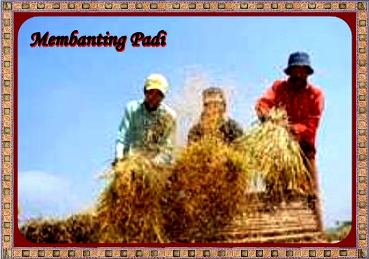 Kampong Pulau Tiga: Nastalgia Pulau Tiga