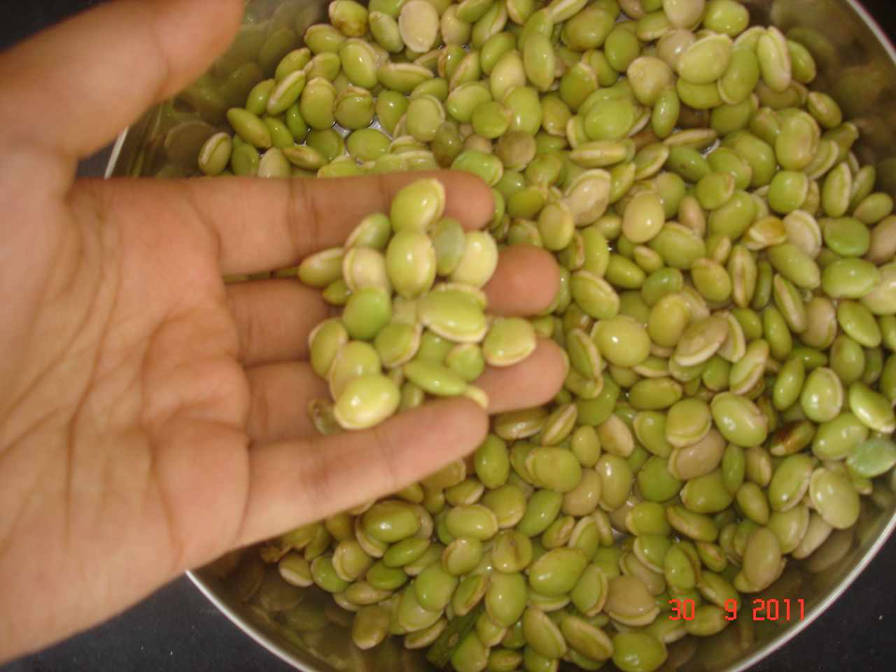 rayalaseema recipes with step by step pictures: ANAPAGINJALA PULUSU ...