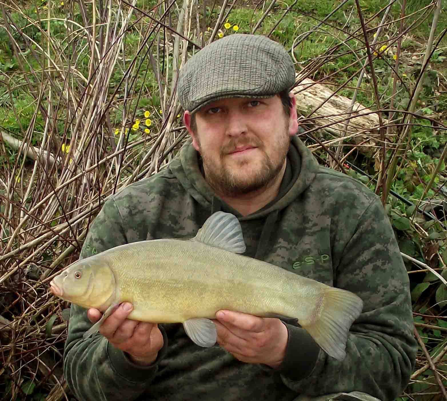 The Lure of Angling: At last... a tench has come along. My lonely days ...