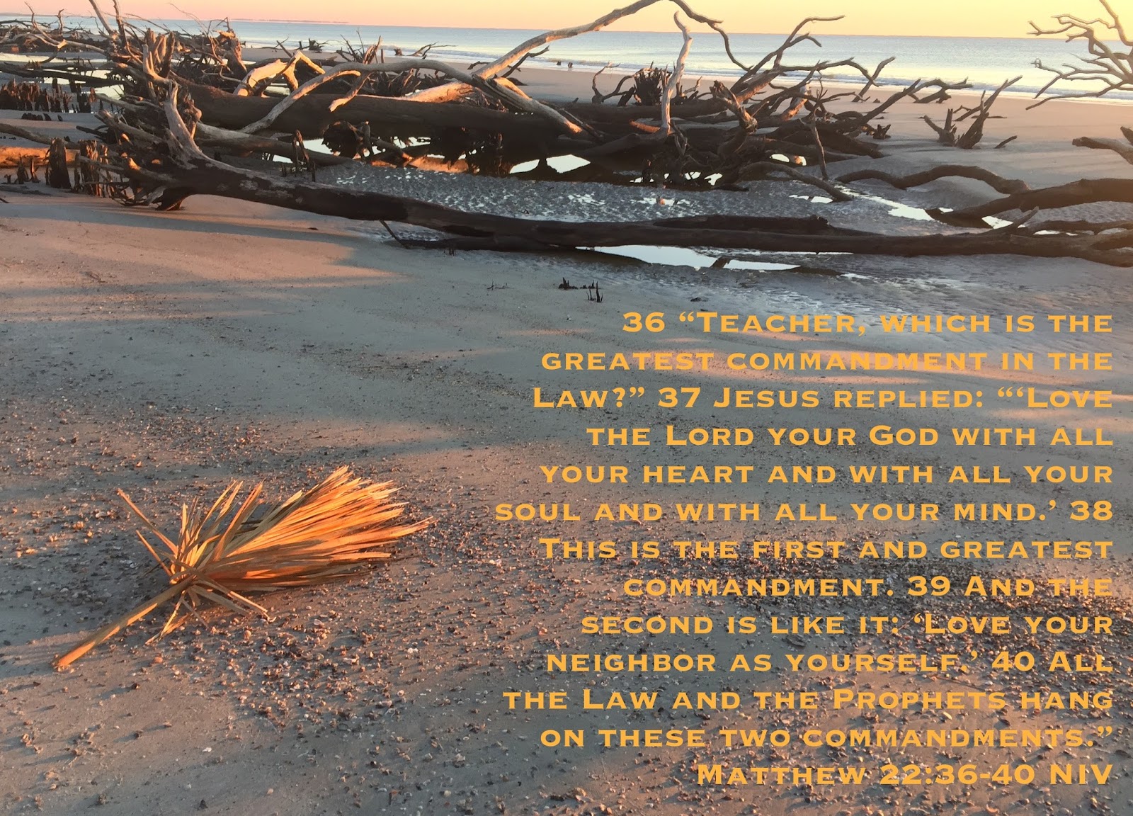 My Strength: Matthew 22:36-40 - "Drops In The Ocean"