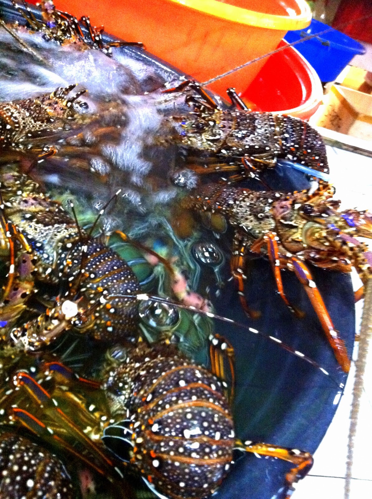 WHY I VALUE LIFE: D' TALIPAPA