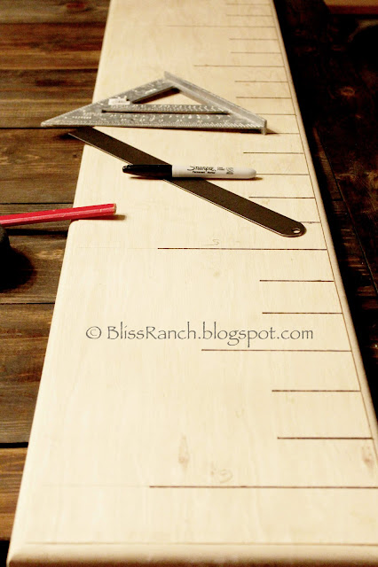 Bliss Ranch: Giant Yardstick