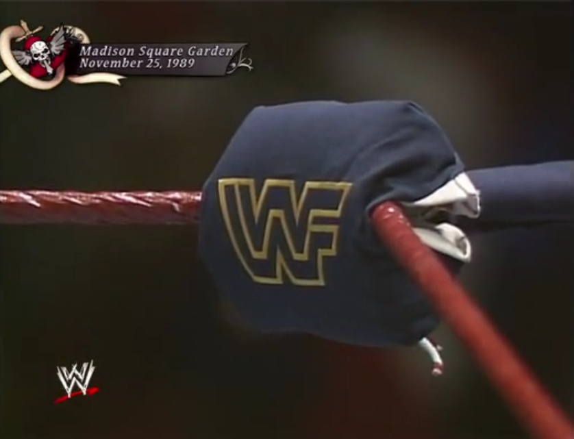 ProWresBlog: WWF Madison Square Garden 11/25/1989 - The Rockers vs The ...