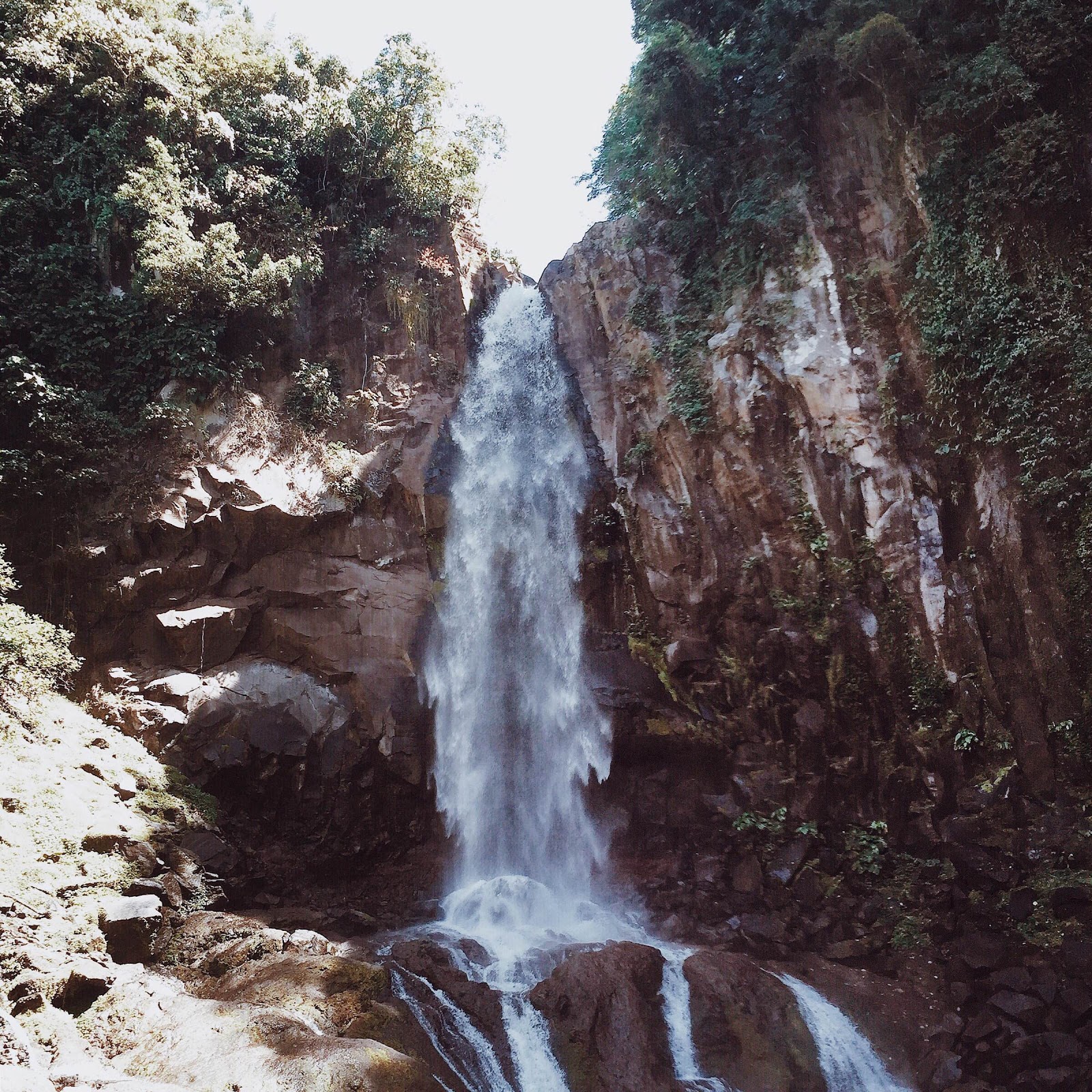 PURVEYR: Purveyr Instagramer: Kimi Juan