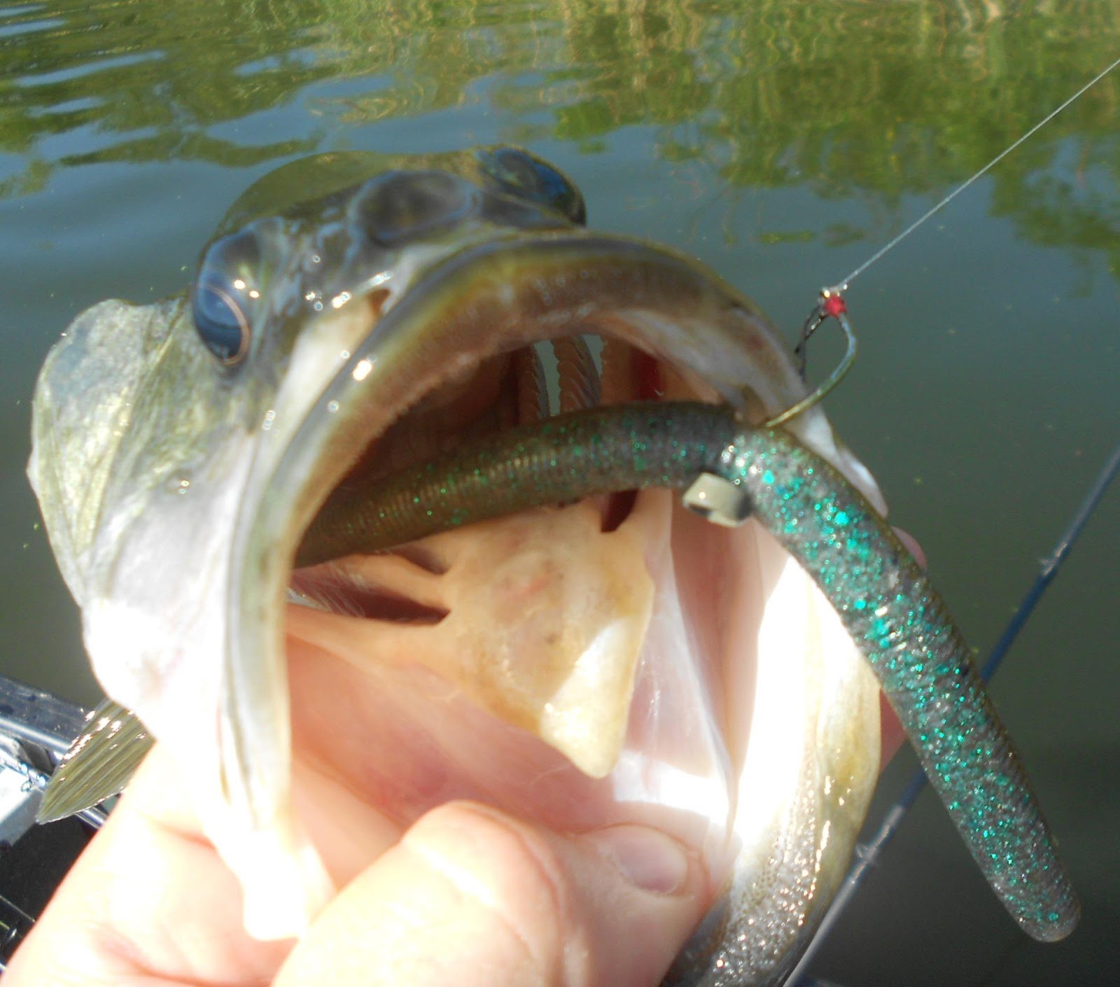 T Brinks Fishing: Holiday Gift Guide: Day 6 - Eco Pro Tungsten Pro ...