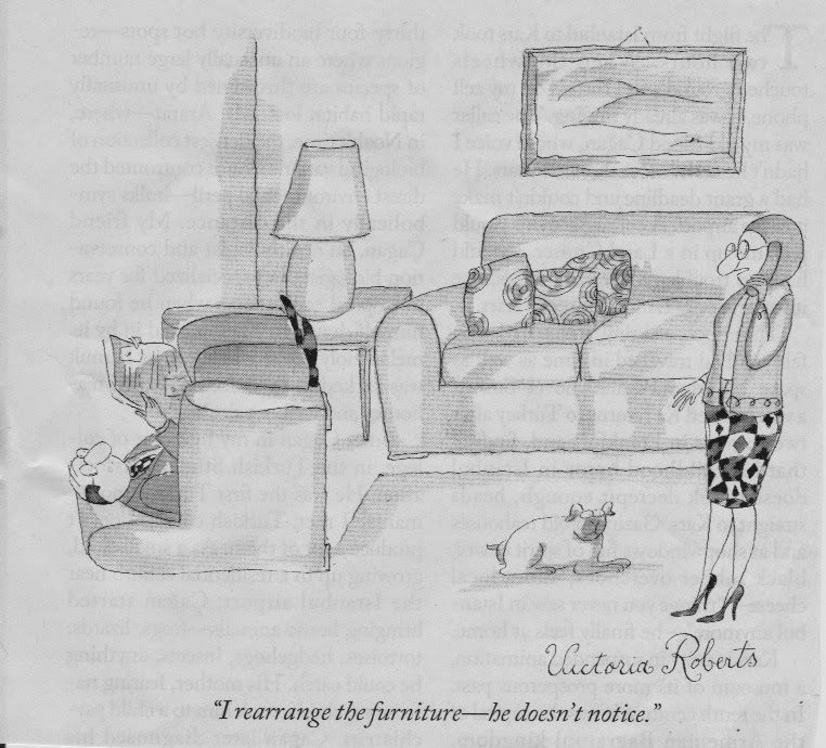 Debbie Jacobs: Interior Design Humor!