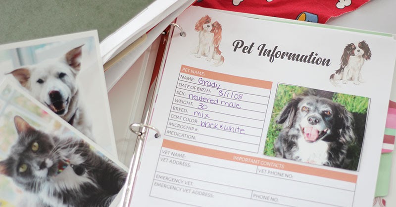 The Printable Pet Binder You Need to Organize Your Pet Records | Sunny ...