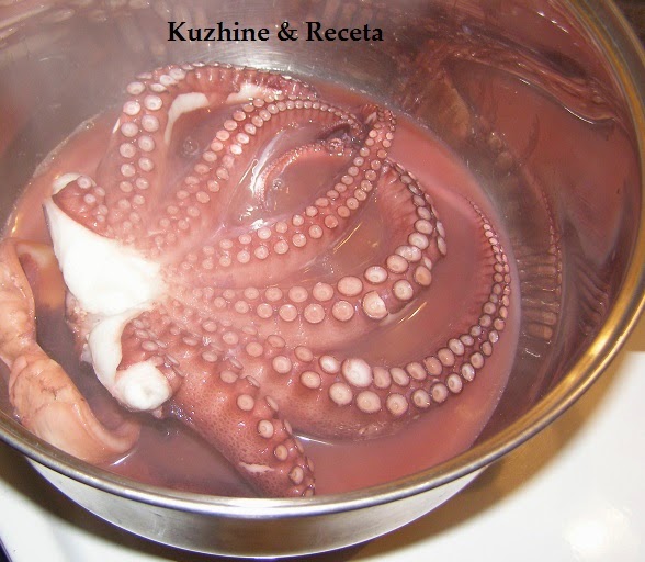 Kuzhine - Receta: Oktapod i zier