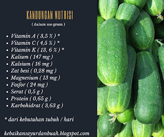 Timun dan 10 manfaatnya untuk tubuh, efek samping serta faktanya ...
