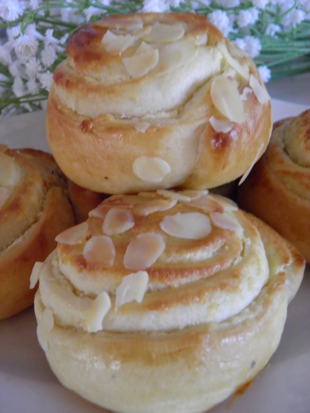 Tellus world: Dallas pullia,ballerina pullossa....