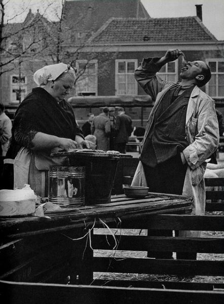 Malomil: Ed Van Wijk, saudosa Neerlândia.