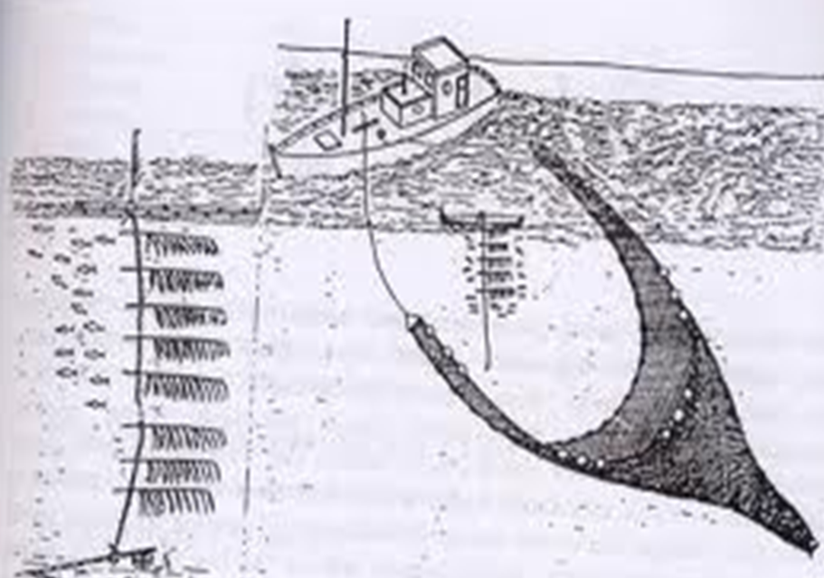 ALAT TANGKAP PAYANG - RUSTADI DKP