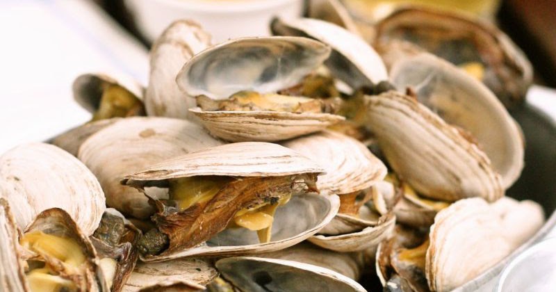 Perfectly imperfect : New England Steamers