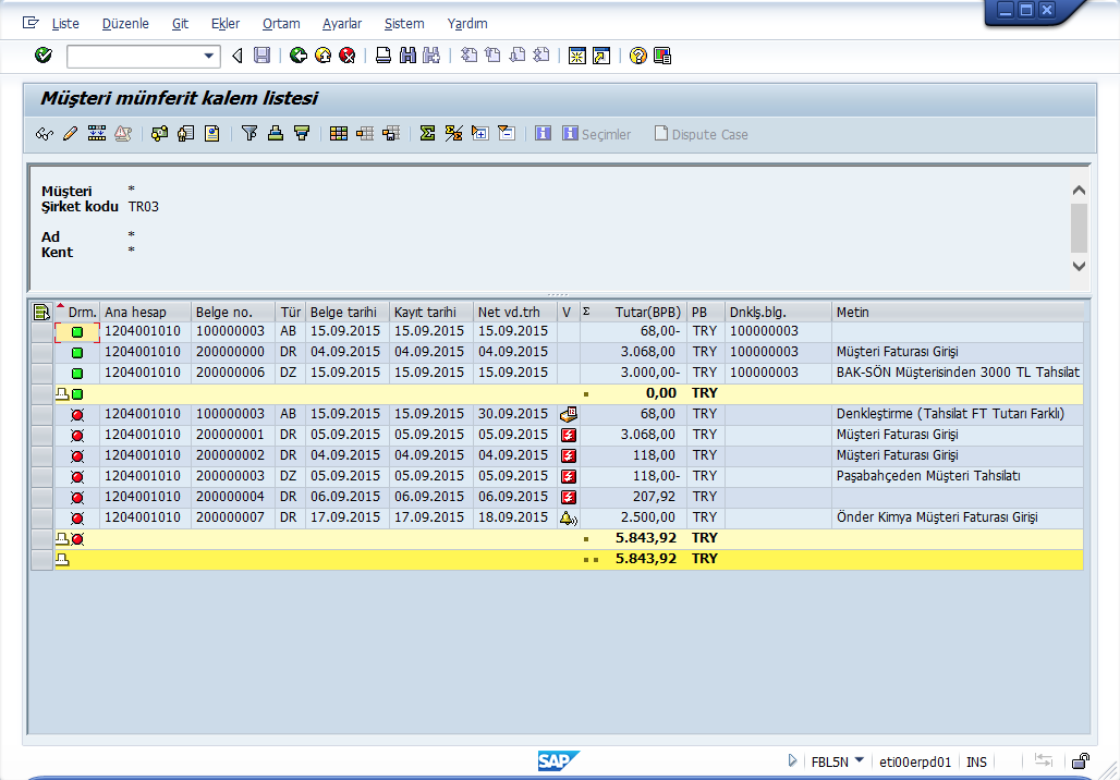 Müşteri Münferit Kalem Listesi Görünümünü Düzenleme (FBL5N) | SAP Muhasebe