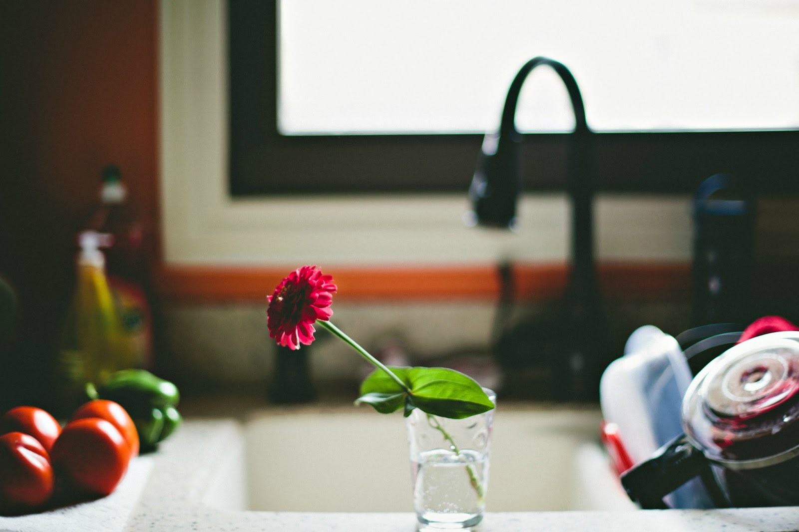 Sarah Kriner Photography: Of living. A summer in photos. | Central ...