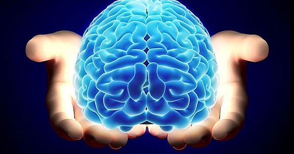 Blog de Carlos Gamissans, periodista y escritor: La inteligencia humana