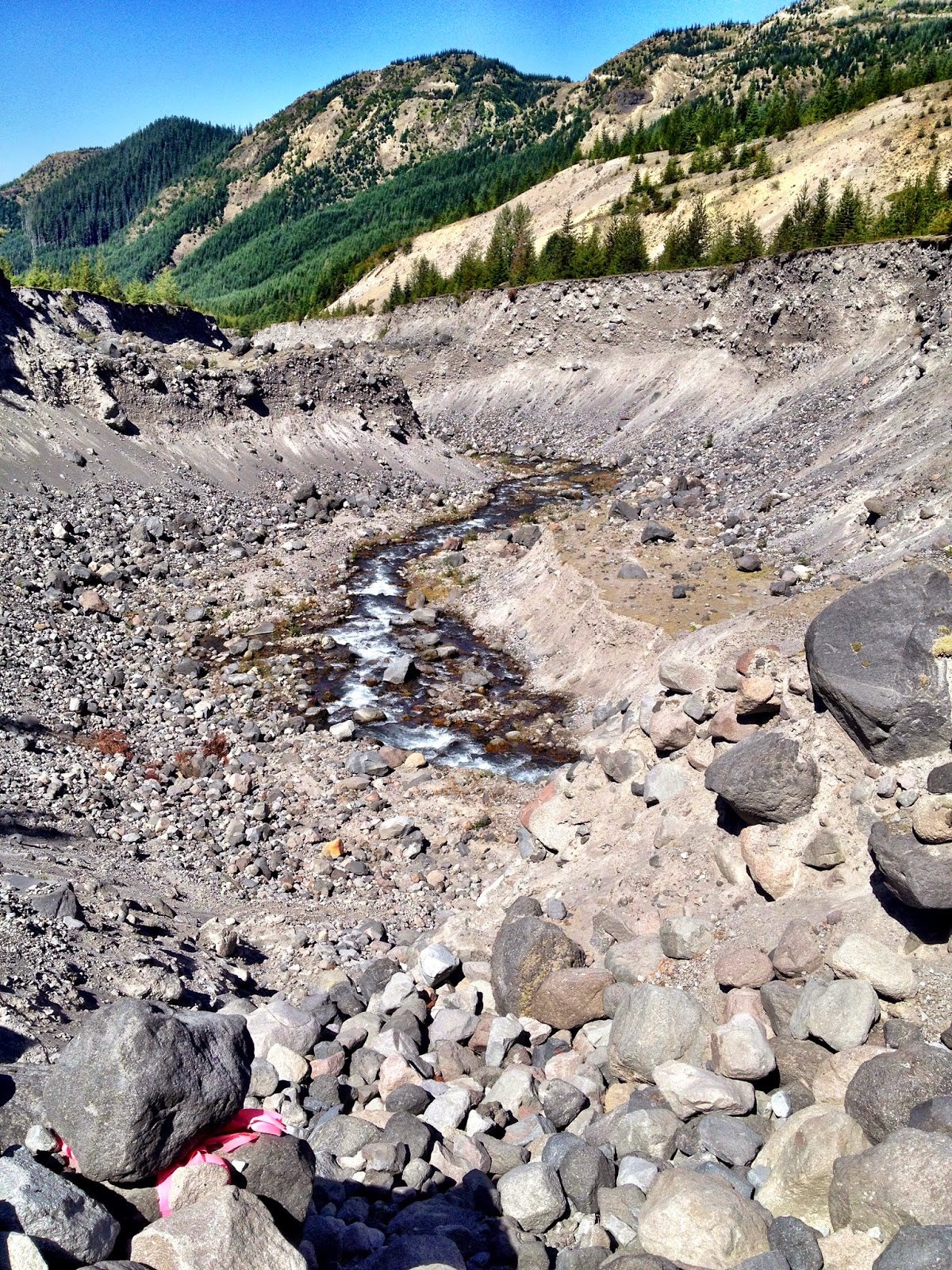 Forever Pace: Jbob's Volcanic 50k Race Report - Mt. St. Helens ...