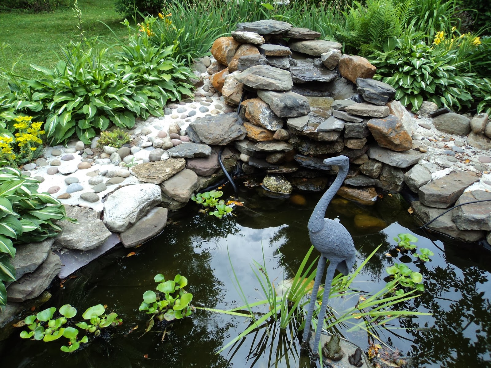 Backyard and Pond Project | Redo It Yourself Inspirations : Backyard ...