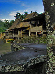 Tourism Destination: Pariwisata NTT