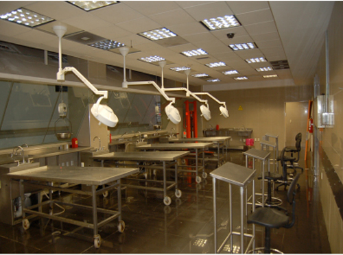 necropsia-criminalistica : Bienvenidos