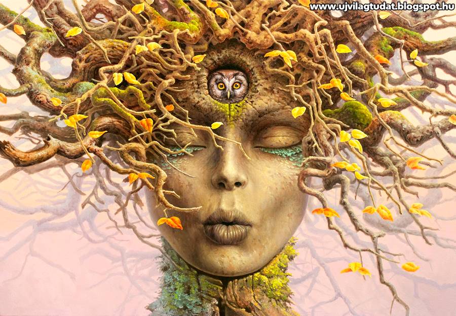 Az Életfa tanítása és a csodás gyógyulások lehetősége | Új Világtudat ...