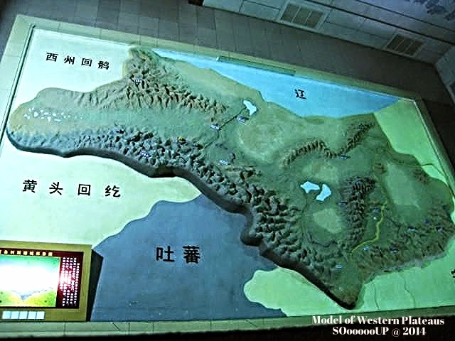 SOoooooUP: WESTERN XIA MUSEUM