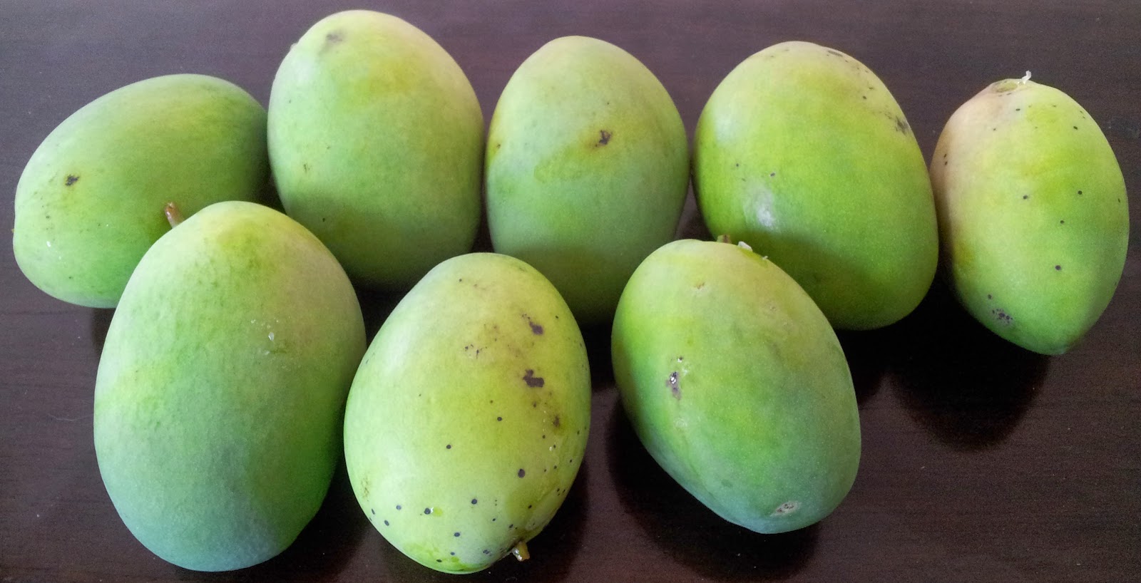 Welcome to the Panama Man: New season, new fruits